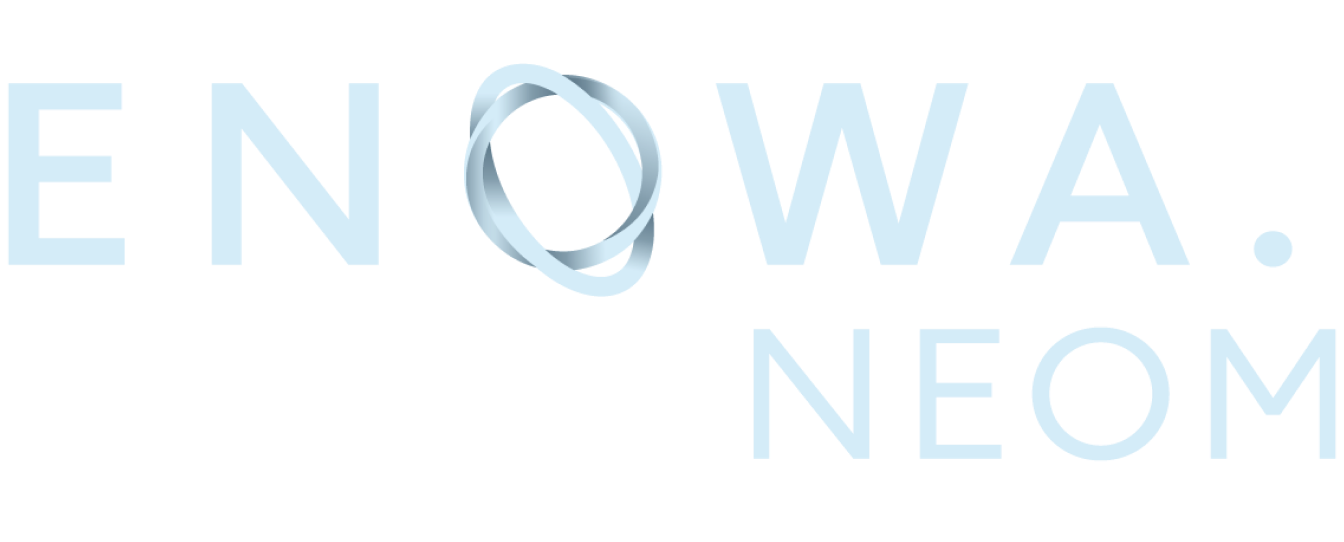 ENOWA HYPERDRIVEMOMENT OF THE YEAR - ENOWA HYPERDRIVE MOMENT OF THE YEAR - Extreme E - The ...